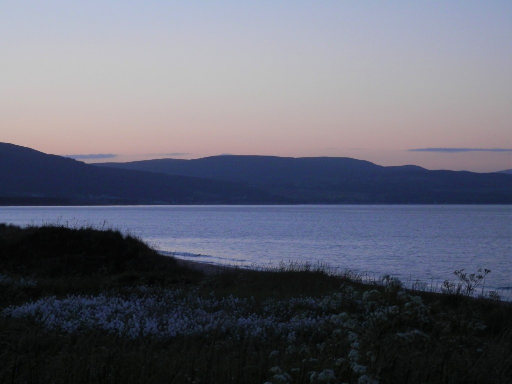 The Return of Beach Holidays, The Byrds and ‘Dolphin’s Smile’ – What's ...